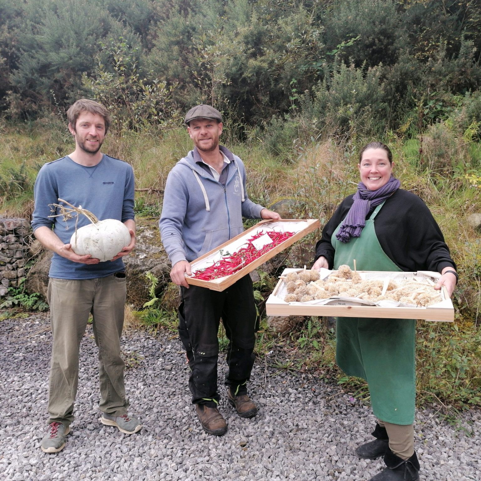 Irish Seed Savers – Irish Seed Savers, Scariff, Ireland are dedicated ...